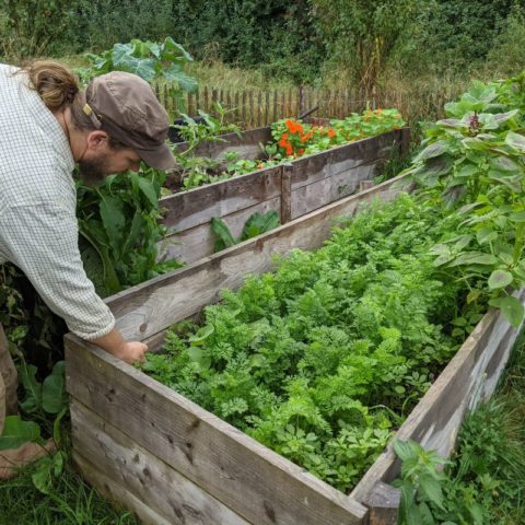 Le chop and drop avec Damien Dekarz - Le potager permacole