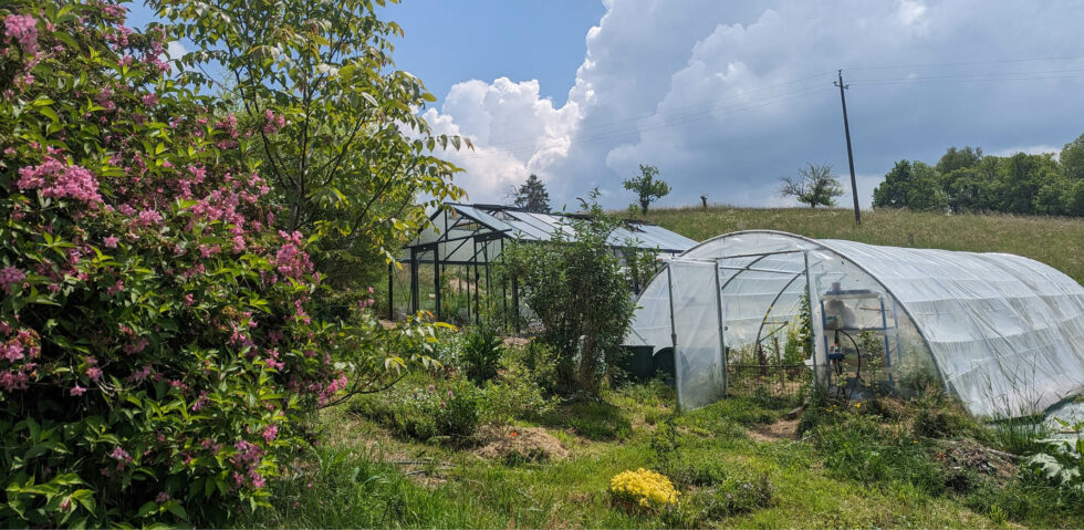 Quelle serre choisir ? Guide complet - Le potager permacole