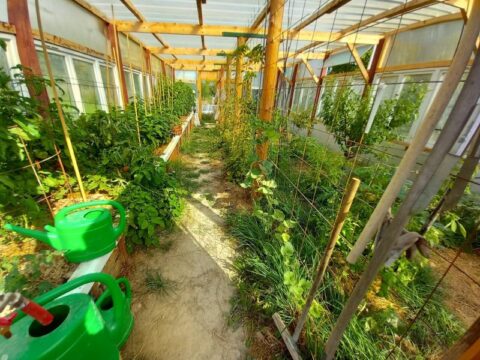 Serre walipini ou serre enterrée : qu'est-ce que c'est et à quoi ça ...